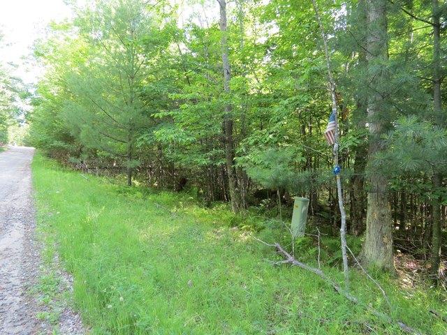 Tannenbaum Ln Lot 118, Jay, NY 12941