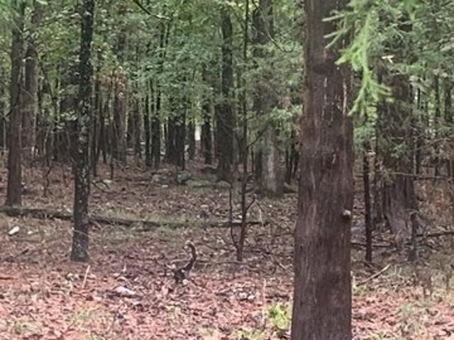 Tannenbaum Rds Lot 52, Drasco, AR 72530