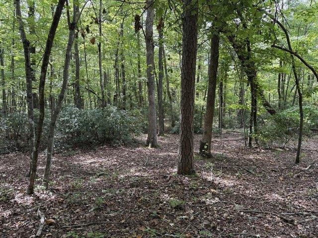 Tanner Dr Lot 6, Monterey, TN 38574