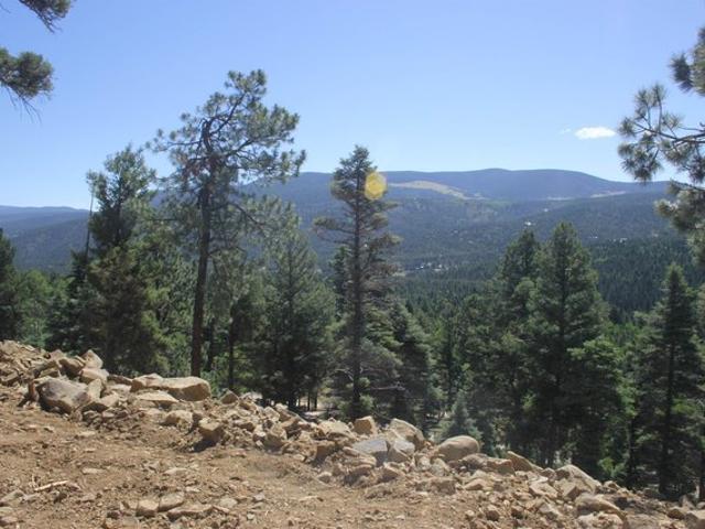 Taos Dr Lot 208, Angel Fire, NM 87710