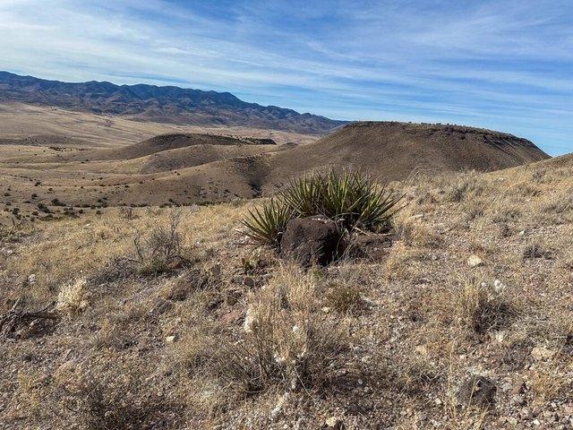 Table Mountain Rd, San Antonio, NM 87801