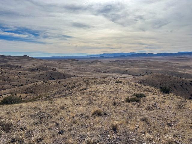 Table Mountain Road