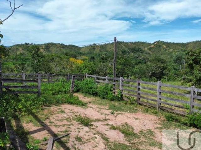 TABOQUINHA GO FAZENDA