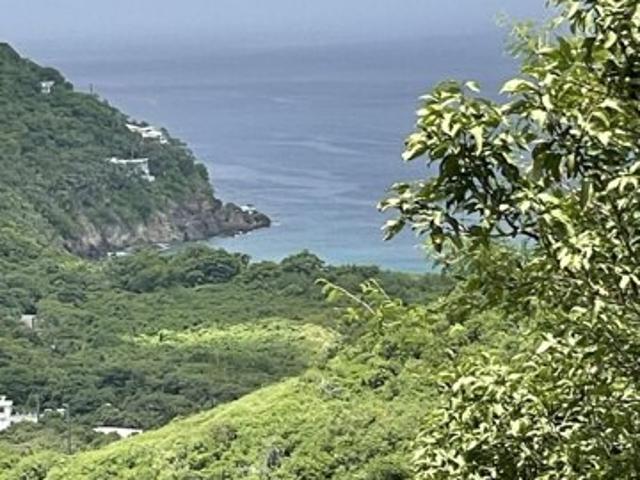 Tabor And Harmony Ee, Saint Thomas, Plot For Sale