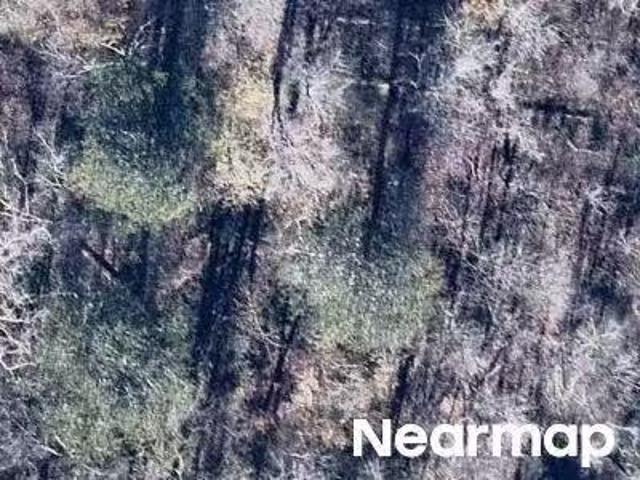 Tabor Forest Dr