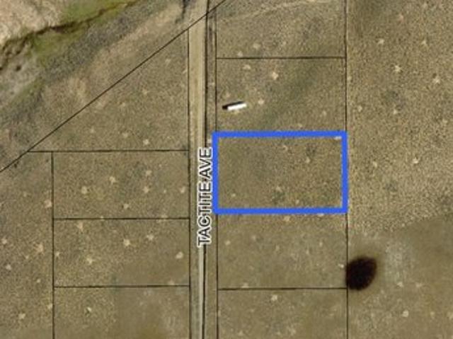 Tactite Ave, Wildhorse, NV 89801