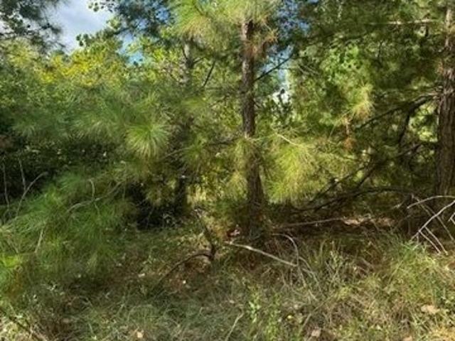 Tahitian Dr Lots 1338 & 1339, Bastrop, TX 78602