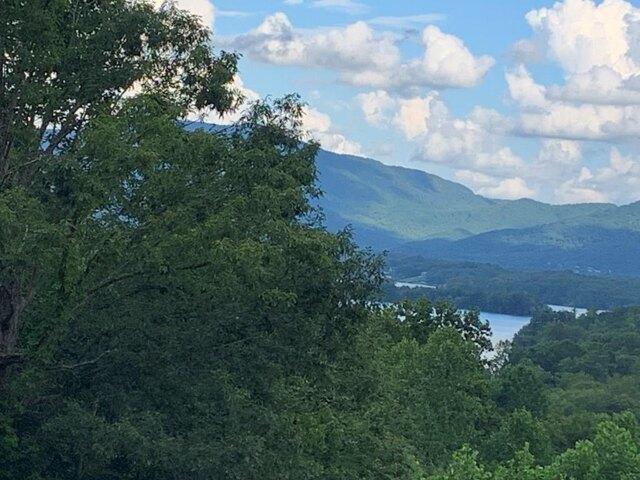 Tahlequah Rdg Lot,hayesville, Plot For Sale