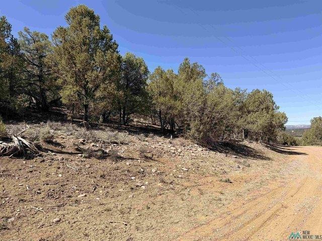 Talavera Sd Rd, Tierra Amarilla, NM 87575