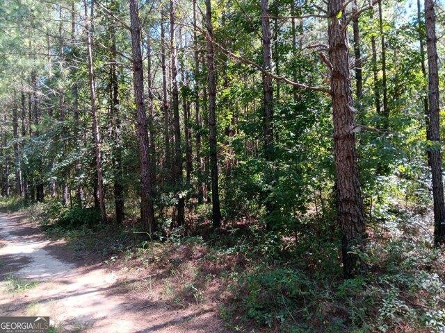Talbotton Hwy, Butler, Plot For Sale