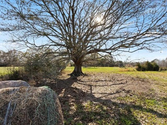 Tall Pines Rd, Fountain Inn, SC 29644
