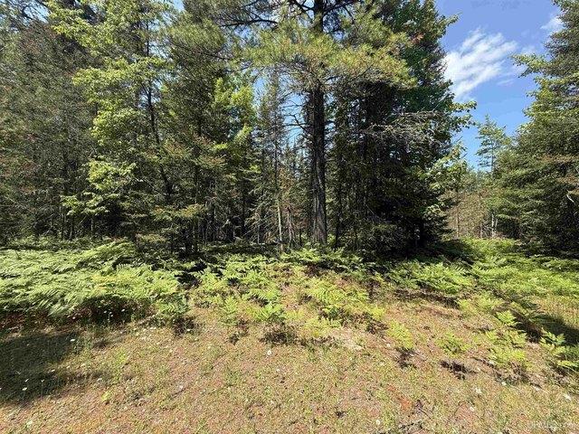 Tall Timber Trail Tall Timber Trl Unit 20, Lake Linden, MI 49945