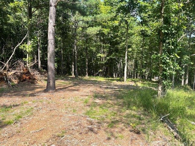 Tall Woods Ln Lot 8, Spencer, TN 38585