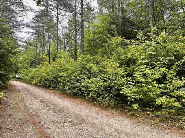 Tall Woods Loop Lot,bartlett, Plot For Sale
