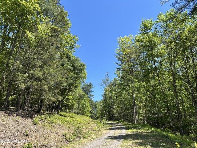 Tallman Hollow Rd Parcel 112, Montoursville, PA 17754