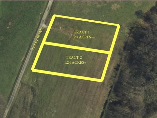 Tally Rd Lot 2, Glasgow, KY 42141