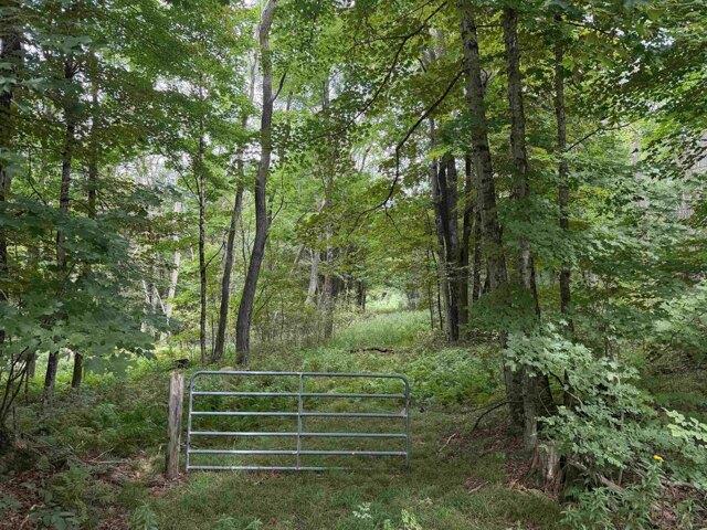 Taplin Hill Rd, Corinth, Plot For Sale