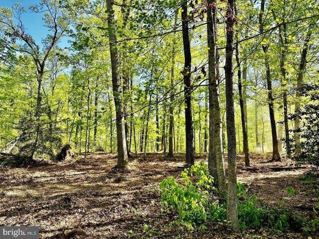 Tapps Ford Rd Lot,amissville, Plot For Sale