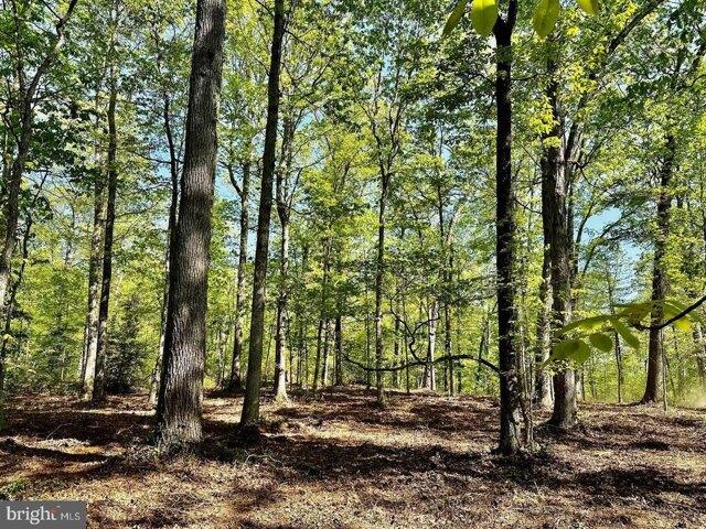 Tapps Frd Lot,amissville, Plot For Sale