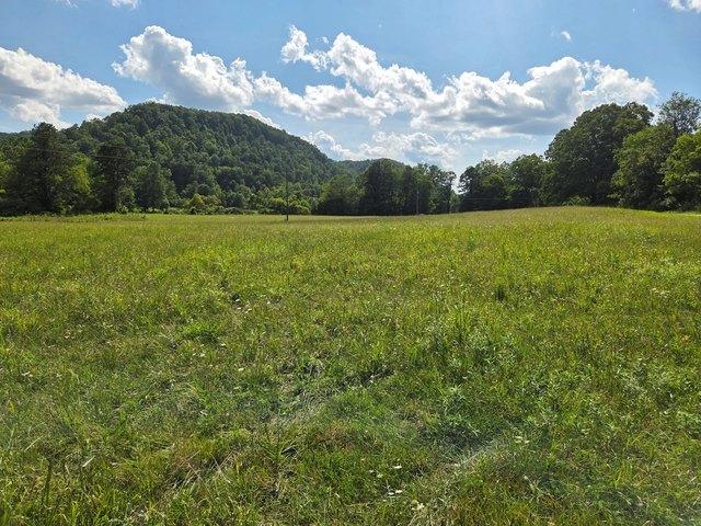 Tar Fork Rd, Vanceburg, KY 41179