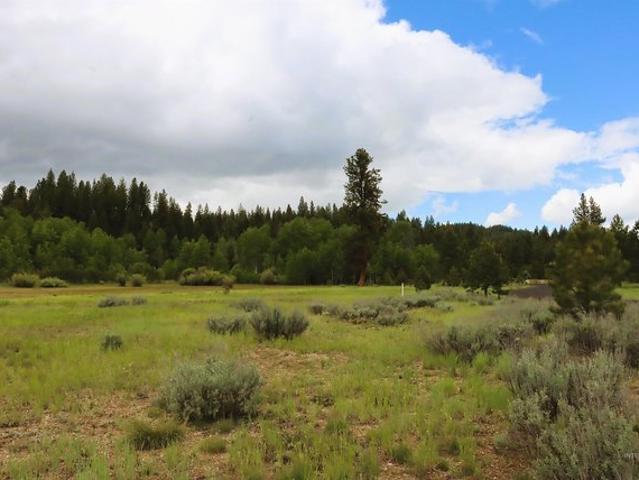 Targhee Ct, McCall, ID 83638