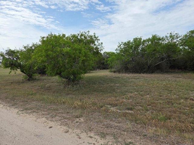 Tarpon Dr Lot 169, Palacios, TX 77465