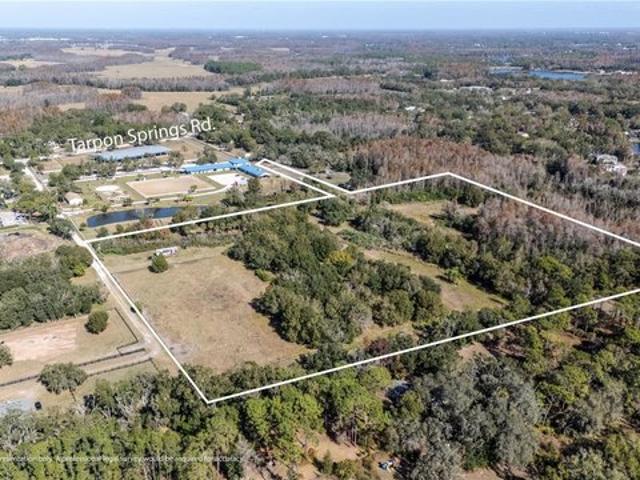 Tarpon Springs Rd, Odessa, FL 33556