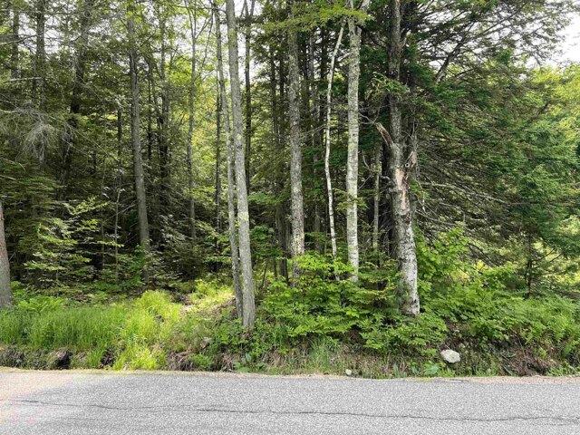 Tasker Hill Rd, Madison, Plot For Sale