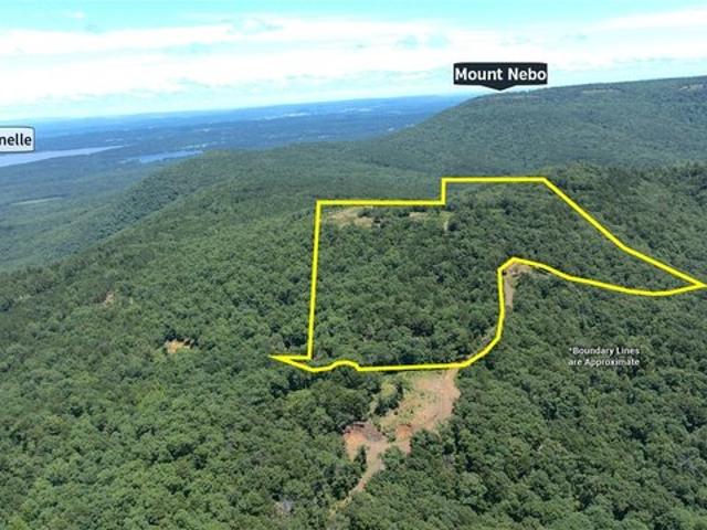 Tater Mtn N, Dardanelle, AR 72834