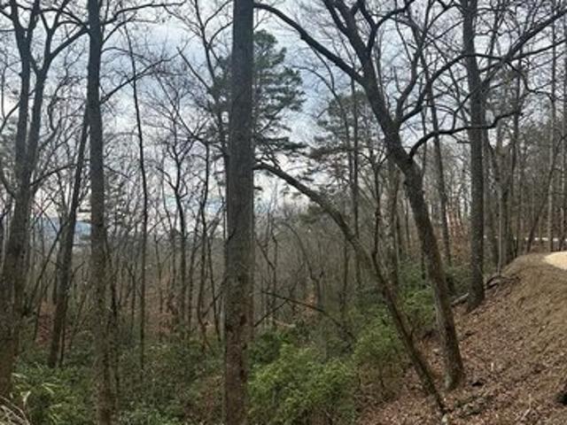 Tatham Gap Rd, Andrews, NC 28901