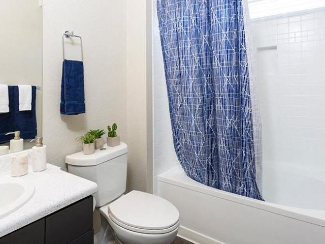 TAVA Waters 1 Bedroom Apartment for Rent at 9099 E Mississippi Ave, Denver, CO 80247 Windsor