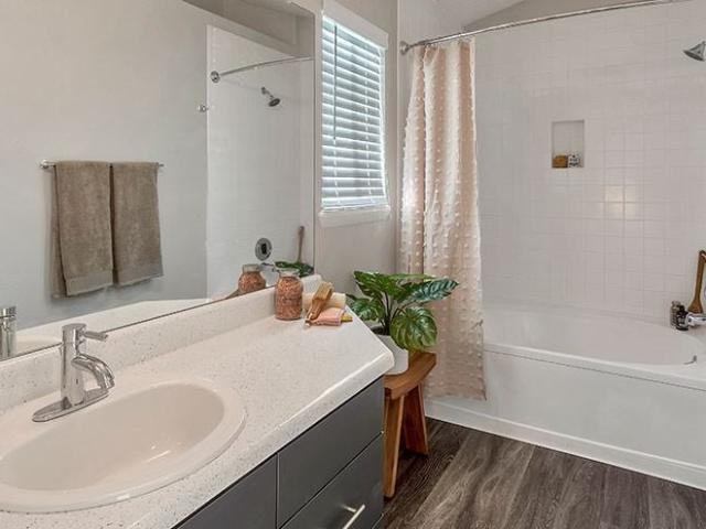 TAVA Waters 1 Bedroom Apartment for Rent at 9099 E Mississippi Ave, Denver, CO 80247 Windsor