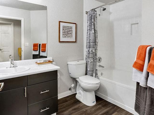 TAVA Waters 1 Bedroom Apartment for Rent at 9099 E Mississippi Ave, Denver, CO 80247 Windsor