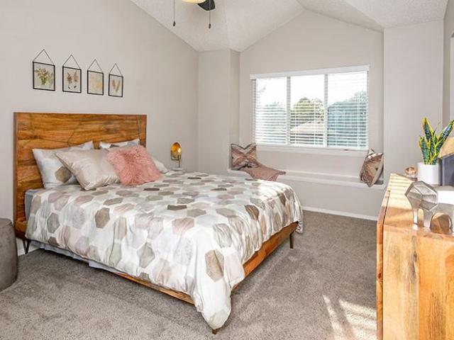 TAVA Waters 1 Bedroom Apartment for Rent at 9099 E Mississippi Ave, Denver, CO 80247 Windsor