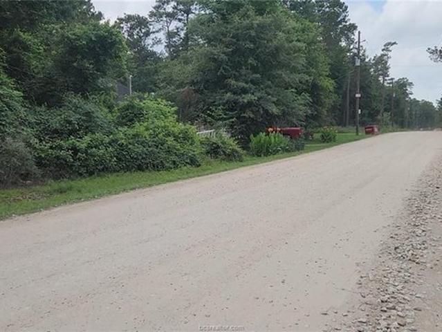 Tawnyberry Ln Lot 5, Plantersville, TX 77363