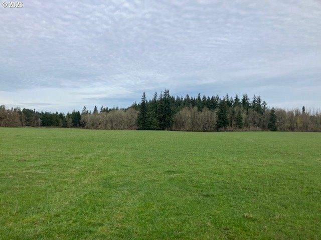 Tax Id 01125, Molalla, OR 97038
