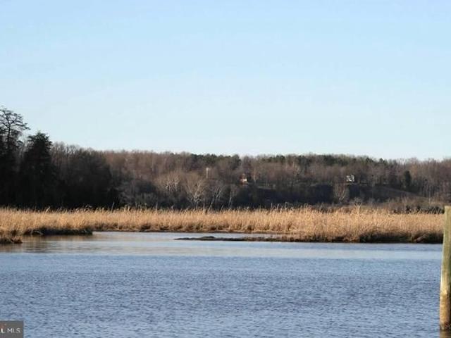Tayloes Neck Rd, Nanjemoy, MD 20662