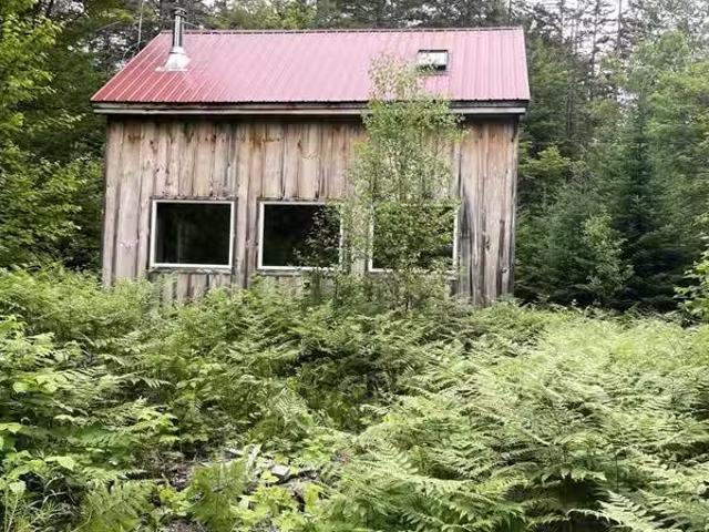 # TAYLOR CEMERTARY, Wellington, ME 04942 648376670