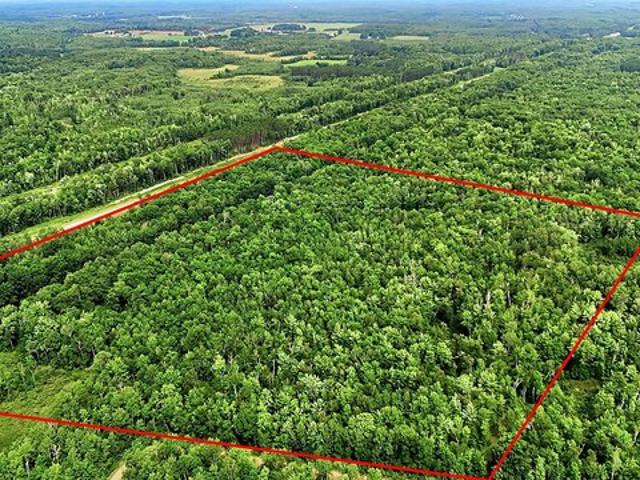 Taylor Birch Rd, Sandstone, MN 55037