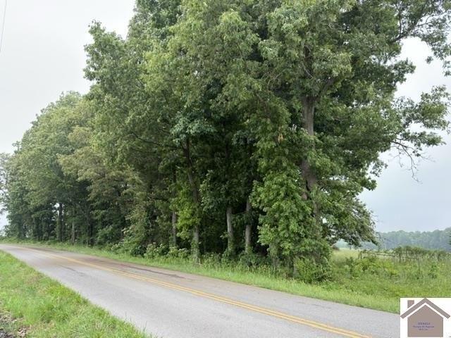 Taylor Store Rd, Murray, KY 42071