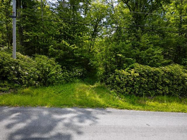 Taylor Road