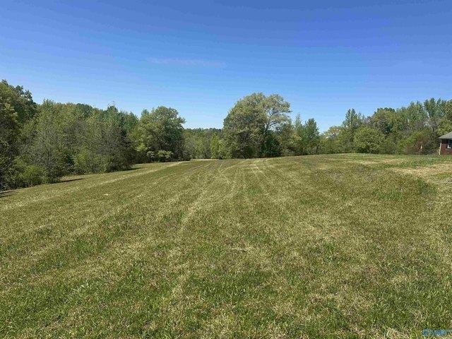Taylor Rd Lot 5, Elkmont, AL 35620