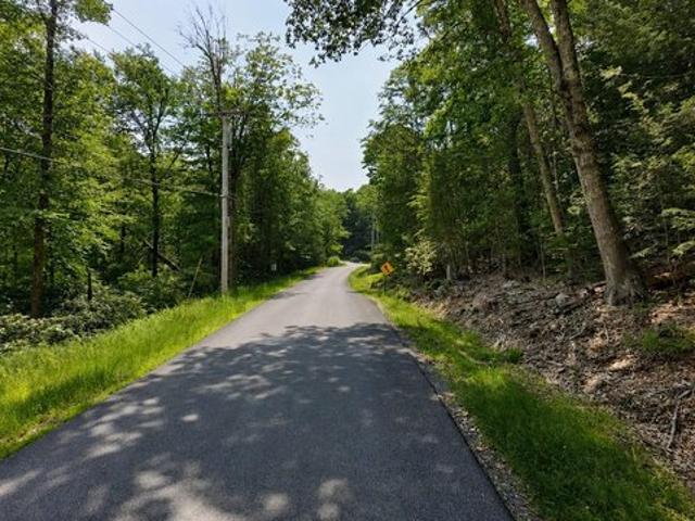 Taylor Rd, Mountain Dale, NY 12763
