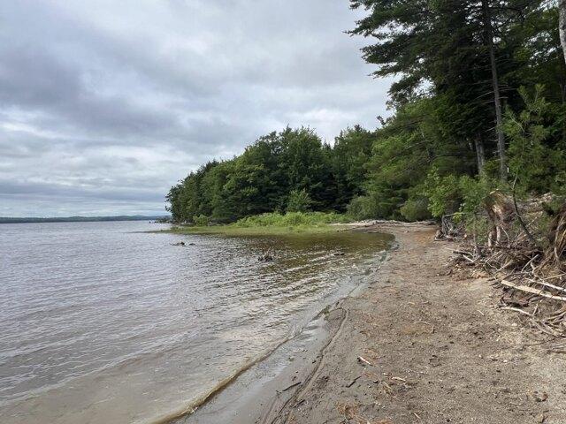 Taylor Woods Rd, Waltham, Plot For Sale