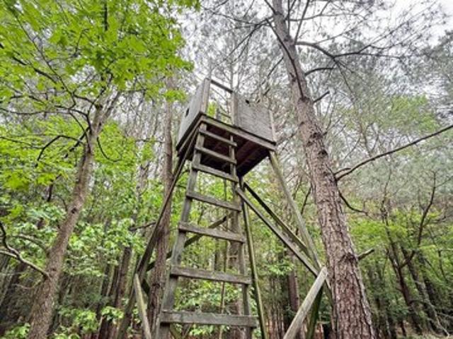 Taylors Island Rd, Woolford, MD 21677