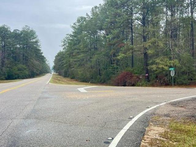 Tbn Deep Creek Rd, Wiggins, MS 39577 | MLS #4133
