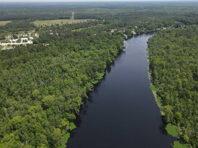 Tbd7 Francis Marion Dr, Georgetown, SC 29440