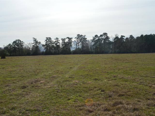 Tbd000 Wiggins Rd, Conroe, TX 77302 | MLS #37428 | Compass