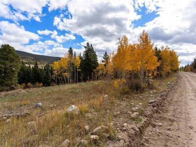 Tbd0 19th Lot 3, Alma, CO 80420
