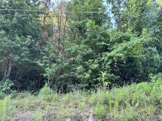 Tbd16 White Rock Acres Rd, Trinity, TX 75862